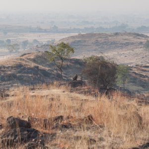 raptors | DPReview Forums