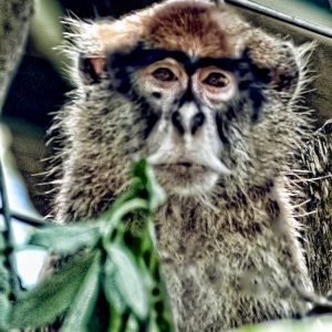 granby-zoo | DPReview Forums