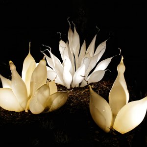 Chihuly Abstract Glass Art At Night | DPReview Forums