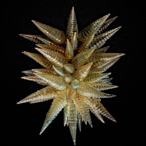 Chihuly Glass Abstract Artwork | DPReview Forums