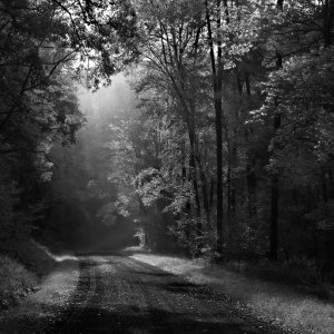 _7001326_bw_sample | DPReview Forums