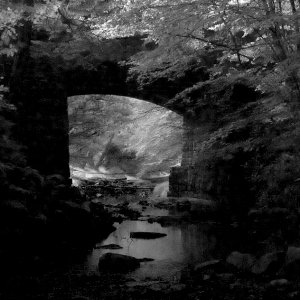 _7001326_bw_sample | DPReview Forums