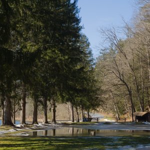 _7009584-bw_sample | DPReview Forums