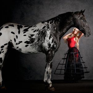 Maggie and Haribo-1 | DPReview Forums