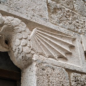 ascoli | DPReview Forums