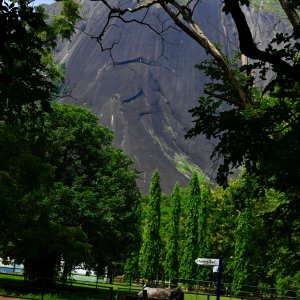 Abuja Zoo drive | DPReview Forums