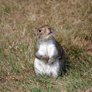 g9575300 | DPReview Forums