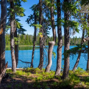 camping-3 | DPReview Forums