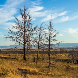 camping-7 | DPReview Forums