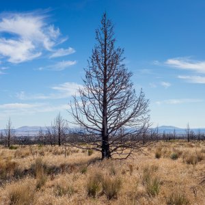 camping-7 | DPReview Forums