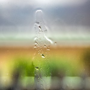 pagham | DPReview Forums