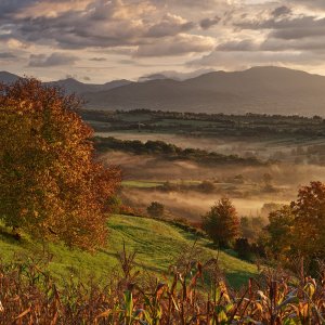 An autumn morning | DPReview Forums