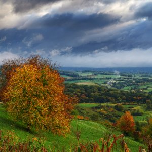 An autumn morning | DPReview Forums