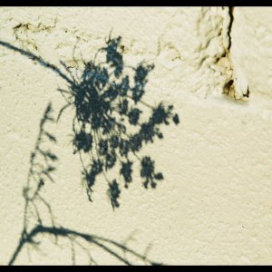 Shadows in Black and White | DPReview Forums