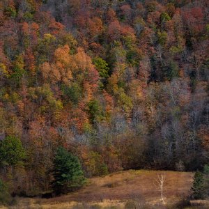 ilce-7rm5 | DPReview Forums