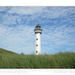 Beacon in Sea of Green | DPReview Forums