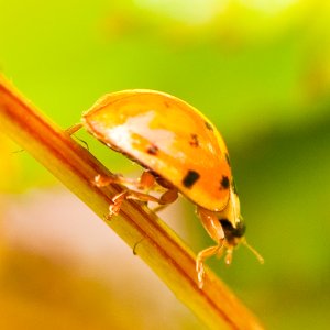 our-home | DPReview Forums