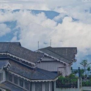 B8080695 | DPReview Forums