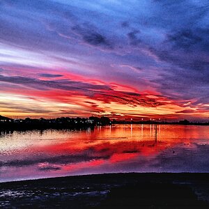 Photos | Page 97173 | DPReview Forums