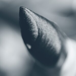 exhibitions | DPReview Forums