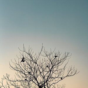 we all connected... | DPReview Forums