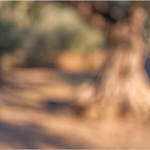 exhibitions | DPReview Forums