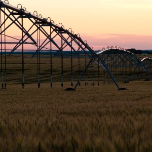 40-150 | DPReview Forums