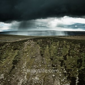 barnage-10 | DPReview Forums