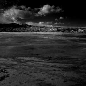 Thistles Walden Ponds IRBW | DPReview Forums