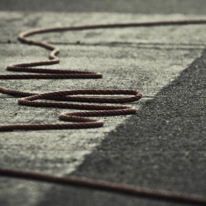 segelflug | DPReview Forums