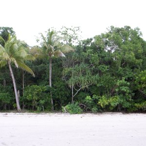 the green line | DPReview Forums