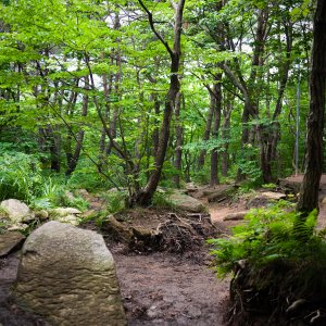 wandeling | DPReview Forums