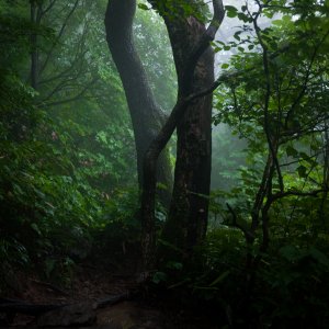 wandeling | DPReview Forums