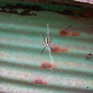 102_2937 | DPReview Forums