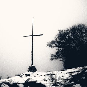 cross | DPReview Forums