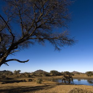 graphism | DPReview Forums