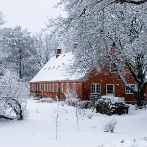 winter-landacape | DPReview Forums