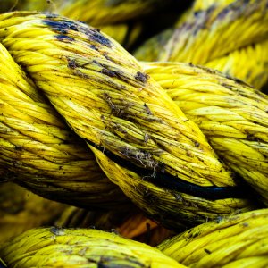 Winter | DPReview Forums