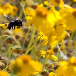 noushad | DPReview Forums