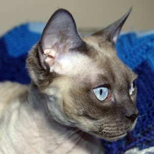 af540 | DPReview Forums