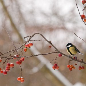 most_beautiful_place_challenge_DPReview | DPReview Forums