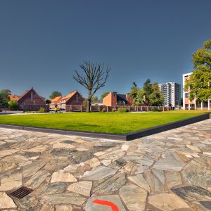 roombeek | DPReview Forums