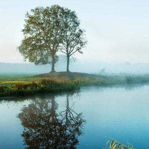 velderberg | DPReview Forums