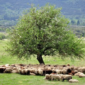 gathering | DPReview Forums