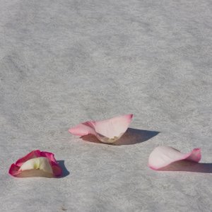 russo | DPReview Forums