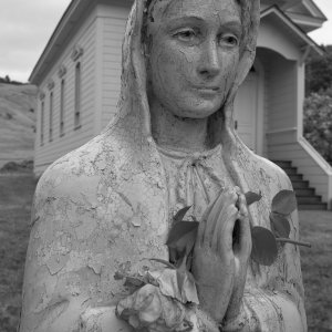 bw-infrared | DPReview Forums