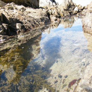 Beach 12 | DPReview Forums