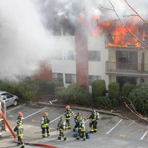 Fire | DPReview Forums