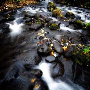 untitled_Mike Ambach (2 of 8) | DPReview Forums