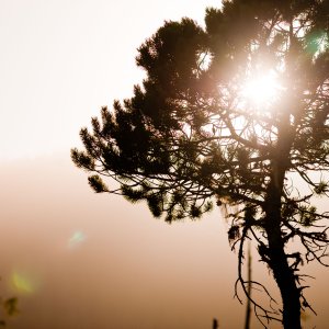 untitled_Mike Ambach (2 of 8) | DPReview Forums